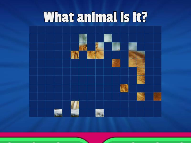Pets - Acertijo visual