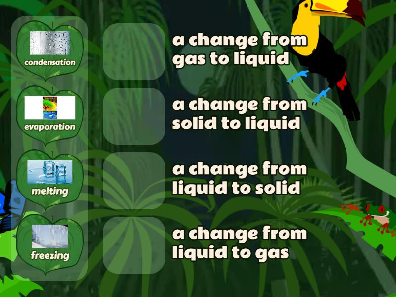 science activity - Une las parejas