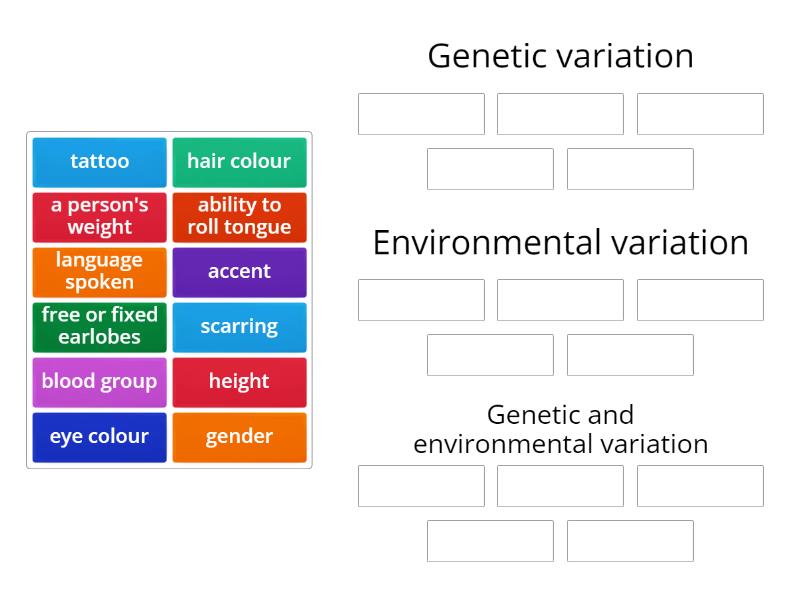 Types of variation - Group sort