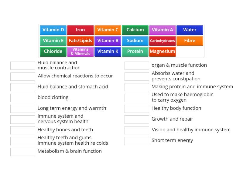 Foods and Their Functions in the Body - Match up