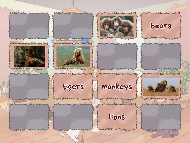 4th Grade - Animals - Matching pairs