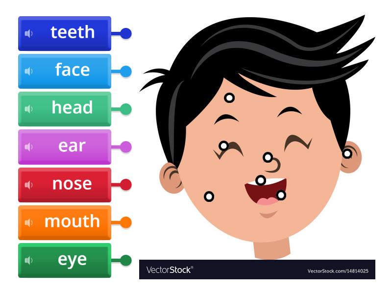 Face match - Labelled diagram