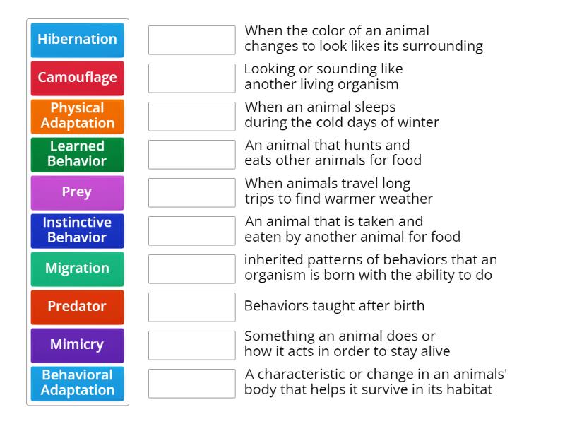 Animal Adaptations Vocabulary - Match up