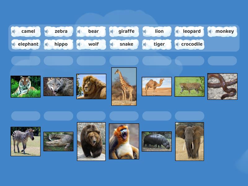 Wild animals - Match up