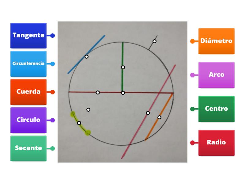 Elementos de un círculo - Diagrama con etiquetas