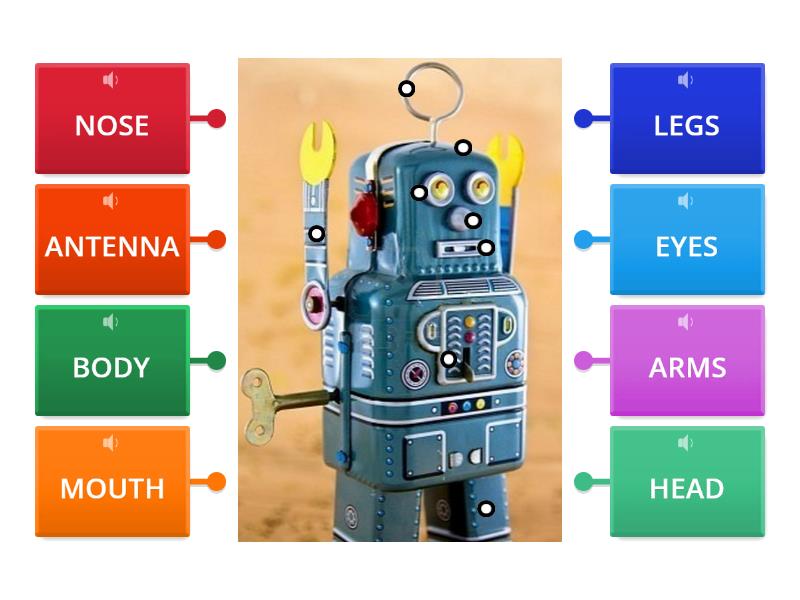 robot - body parts - Labelled diagram