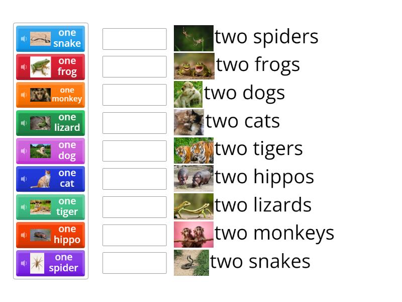 team together starter animals - Match up