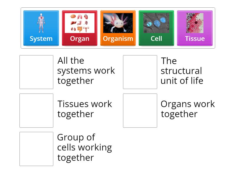 UNIT 1 - Une las parejas
