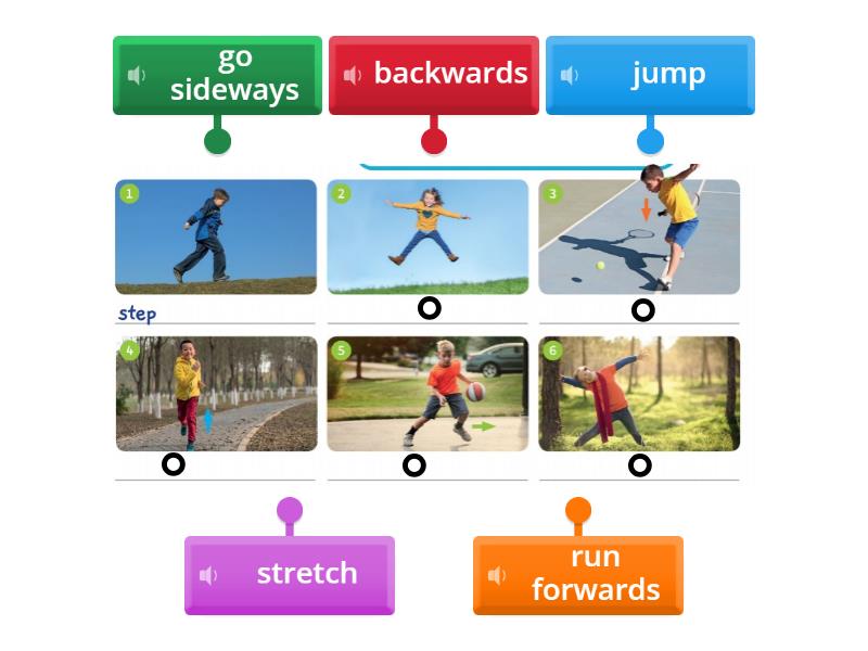 SM1 unit 8 movements - Labelled diagram