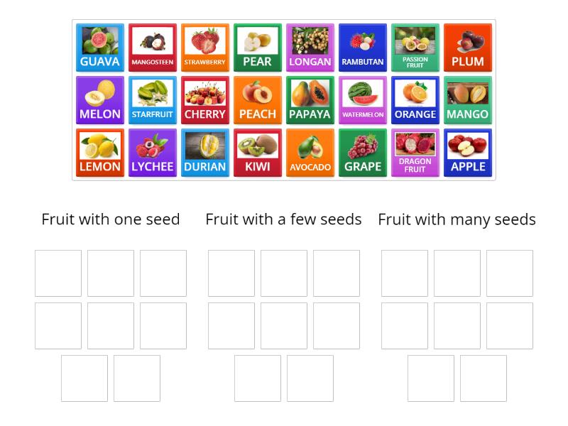 Fruit Classification Sort - Group sort