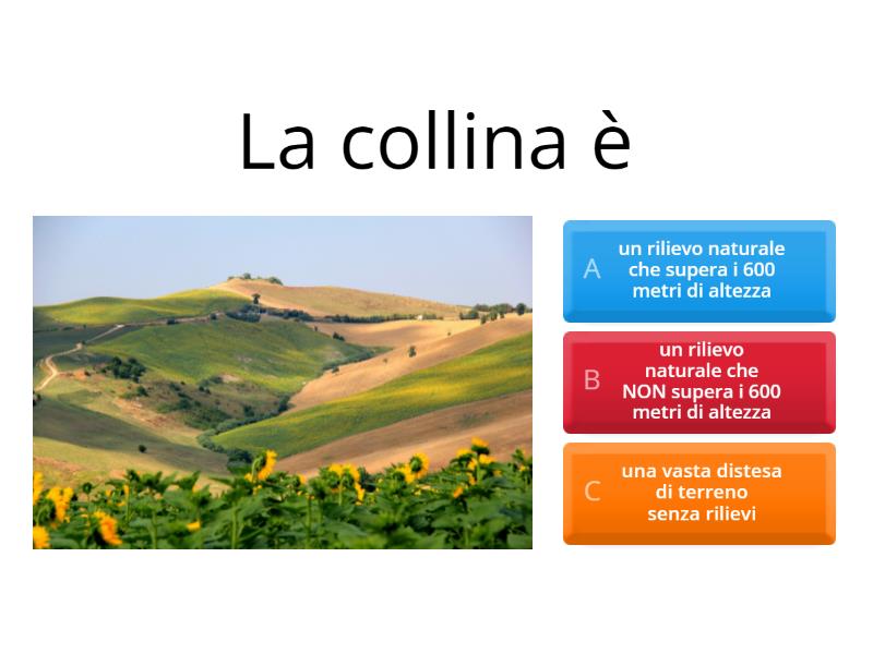 LA COLLINA - Quiz