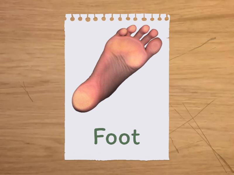 GG1 U4 Body parts - Flash cards