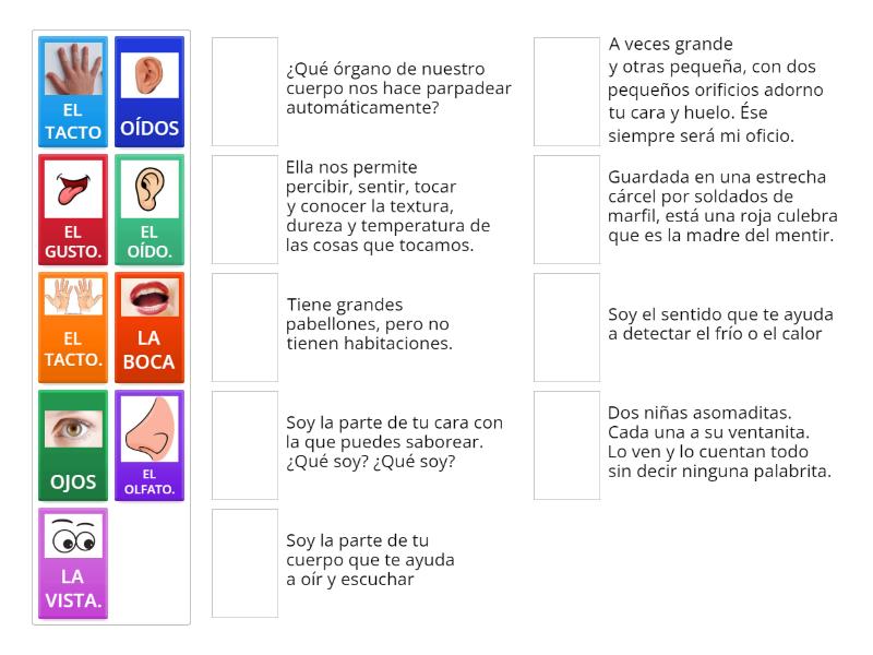 ADIVINANZAS- LOS SENTIDOS - Match up