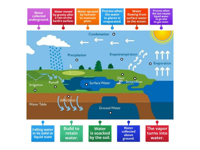 Water Cycle - Labelled diagram