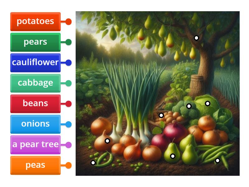 Mrs Day's garden - Labelled diagram