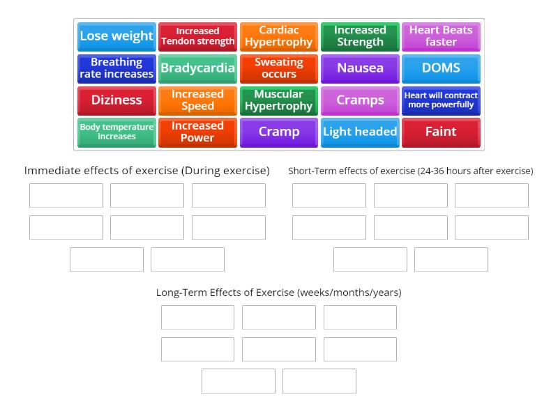 GCSE Effects of Exercise - Group sort