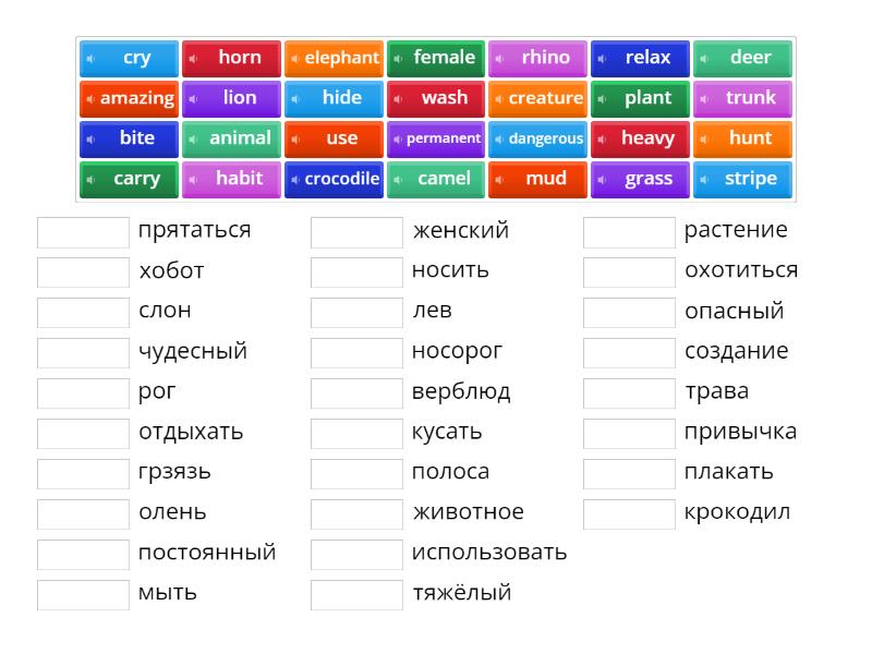 Spotlight 5. 5a animals - Match up