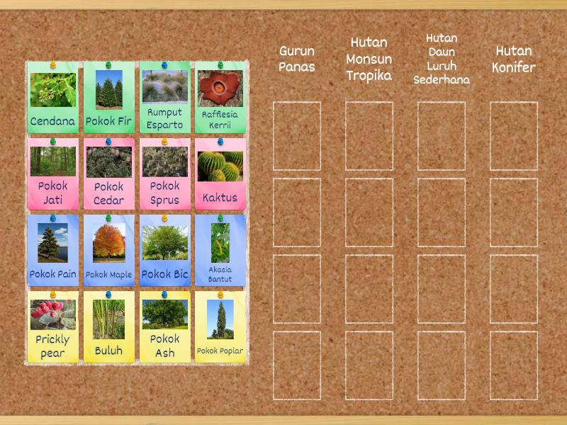Tumbuh-Tumbuhan Semula Jadi di Dunia - Group sort