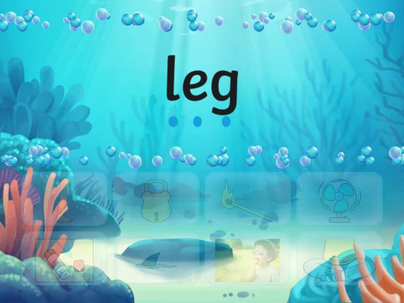 Phonics /l/ - matching - Find the match