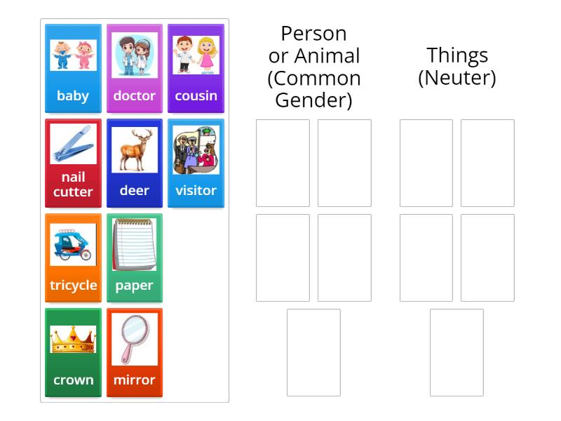 Gender Nouns Sort (Common Noun and Neuter) - Ordenar por grupo