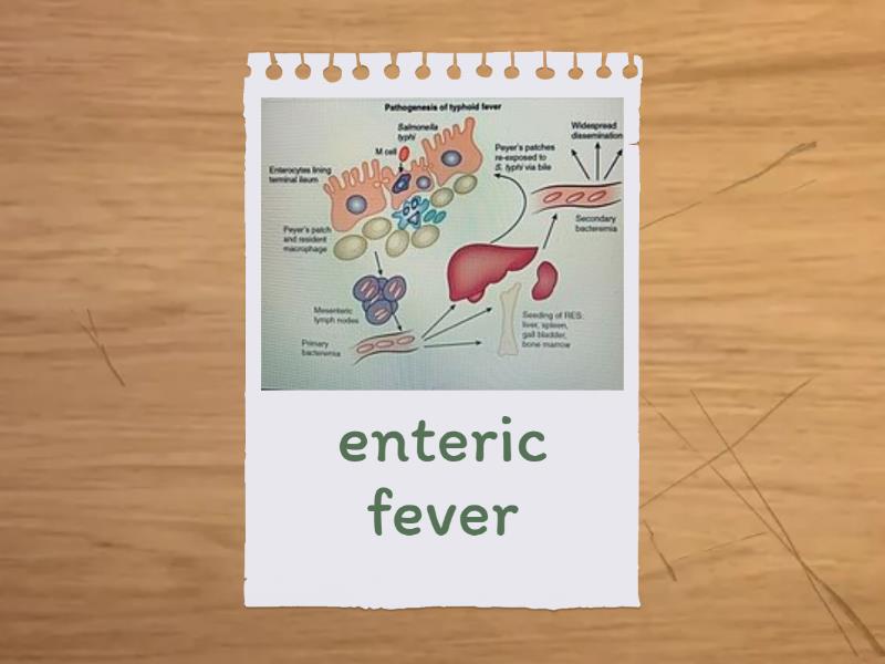 Diseases - Flash cards