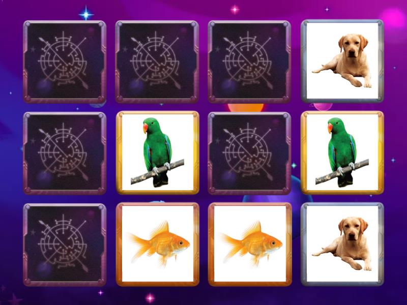 Pets - Matching pairs