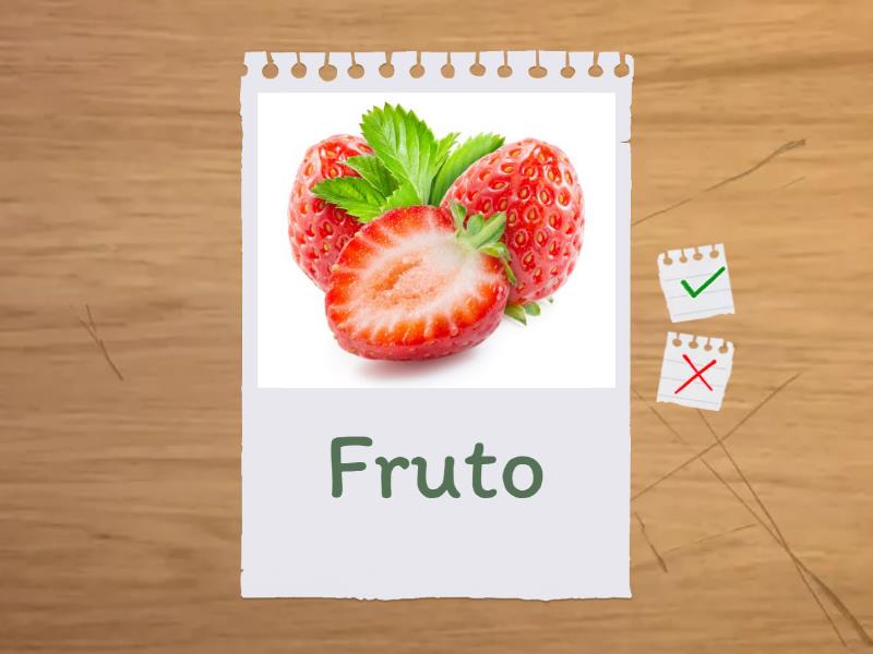 PARTES DE LA PLANTA - Flash cards