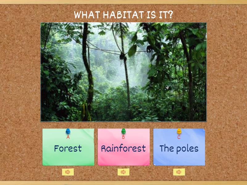What habitat is it? - Quiz