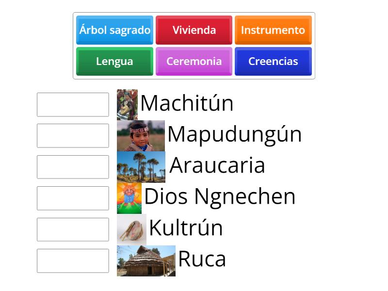 Pueblo mapuche - Une las parejas
