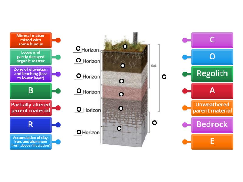 Soil Profile - Labelled diagram