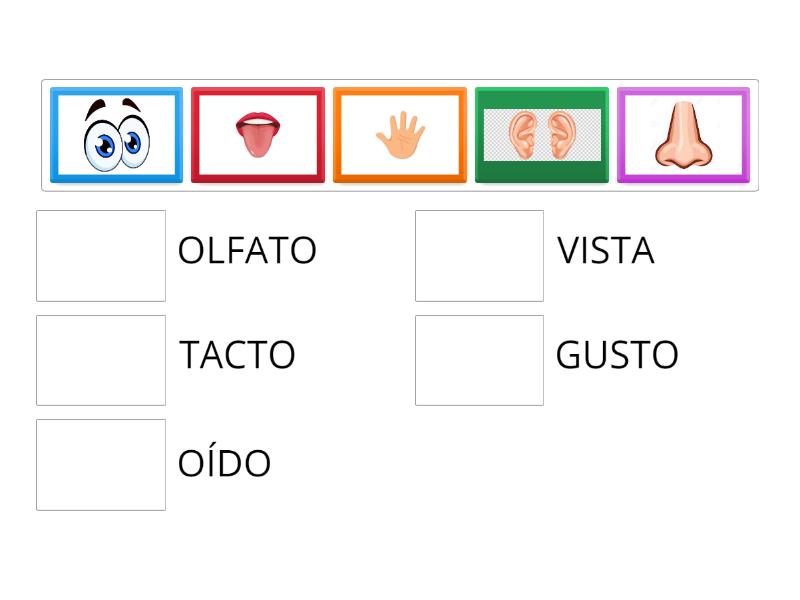 LOS CINCO SENTIDOS - Match up