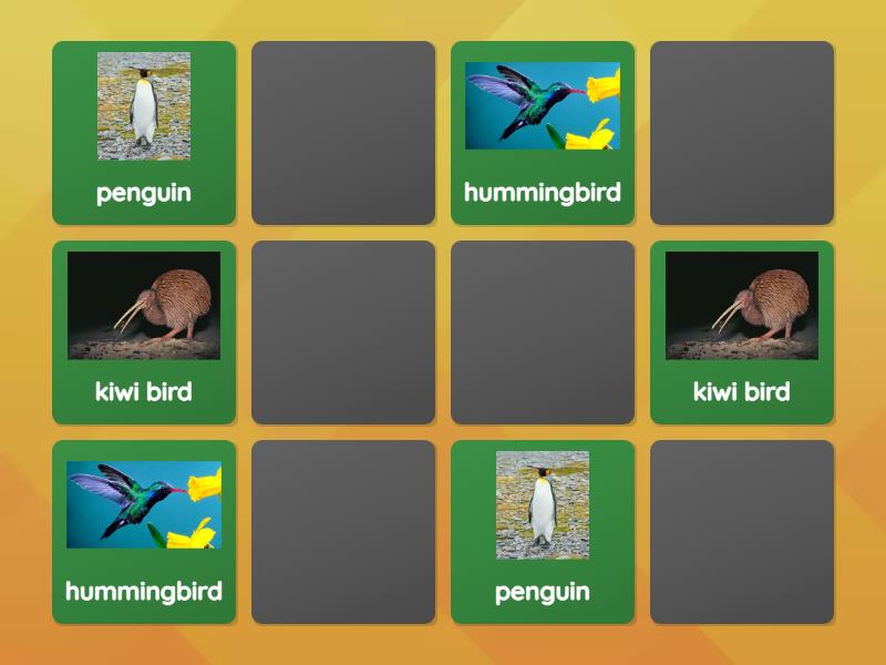 Types of birds - Matching pairs