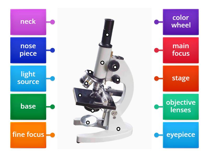 Using a Microscope - Labelled diagram