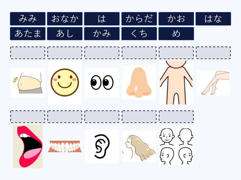 Body parts - Match up