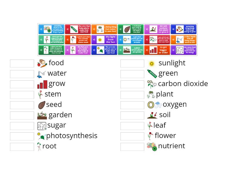n2y (simplified) - Match up