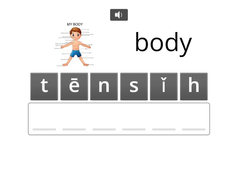 Year 2 body parts level 1 - Anagram
