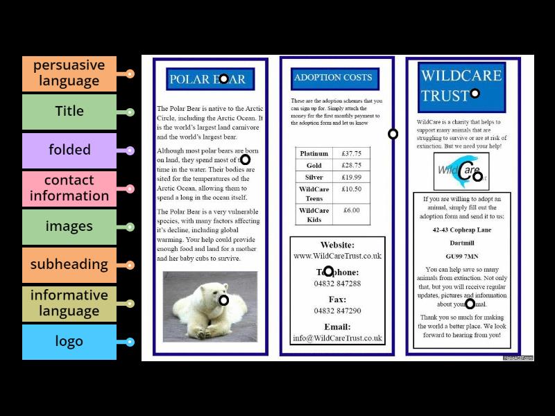 SB1 Features of a Leaflet (Labelling) - Diagrama amb etiquetes