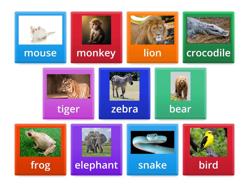 Flashcards Animals 1st grade - Flip tiles