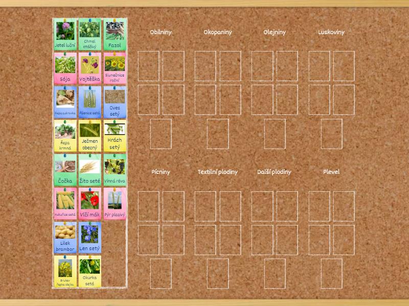 Rostliny na poli - Group sort