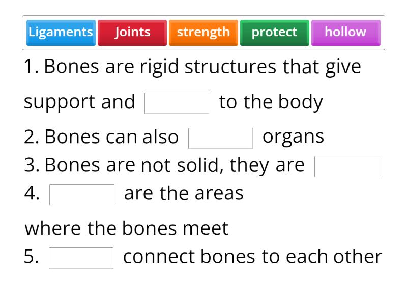 The skeletal system - Complete the sentence