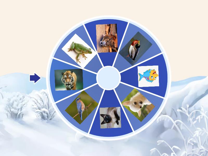 Animals - Spin the wheel