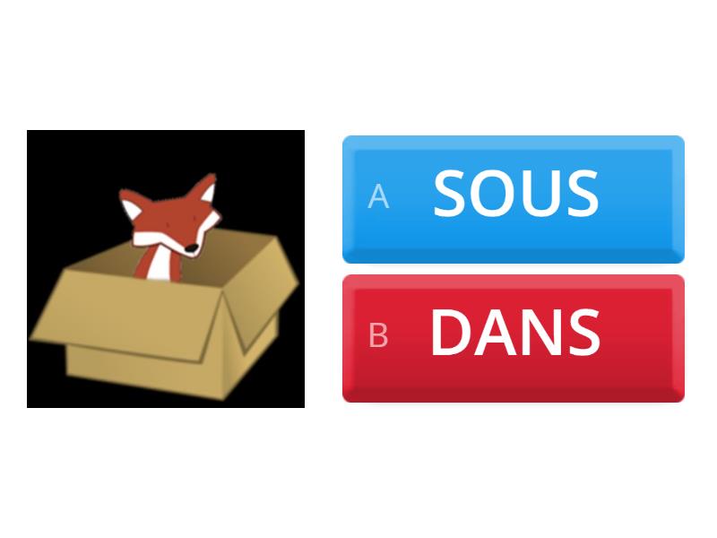 Les prepositions (dans, sur, sous) - Quiz