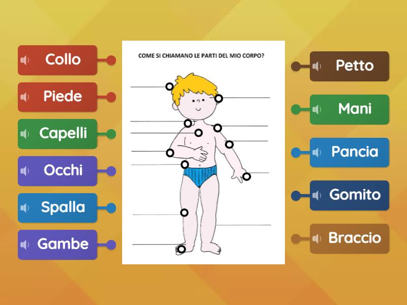 Le parti del corpo - Imagem com legenda