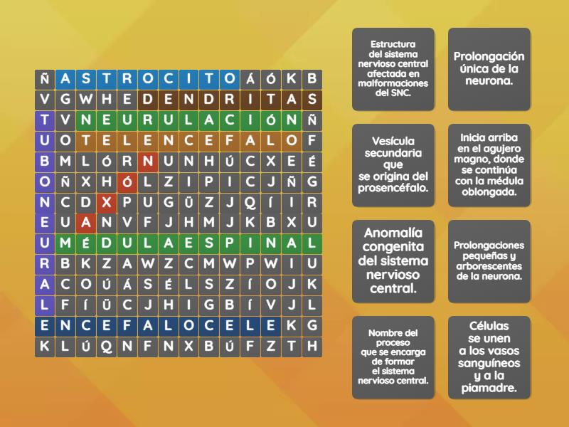 Actividad Sistema Nervioso - Sopa de letras