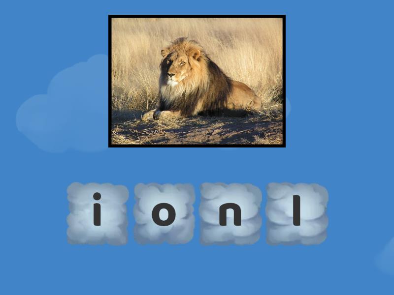 Wild animals - Anagrama