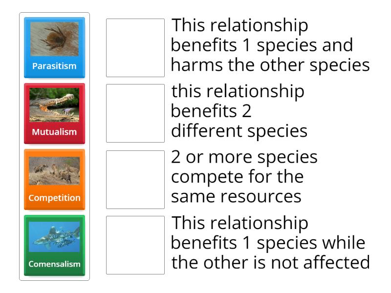 Relationship between different species - Match up