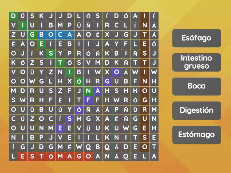 Encuentre las partes que conforman el sistema digestivo. - Wordsearch