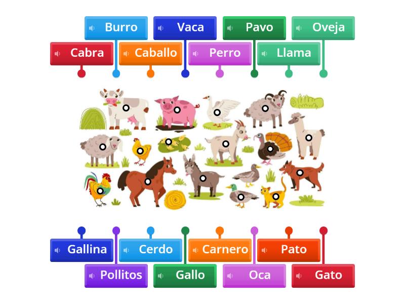 LA GRANJA - Labelled diagram