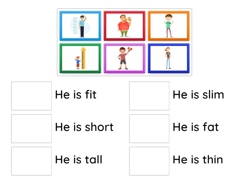 BUILD - PHYSICAL DESCRIPTION - Une las parejas