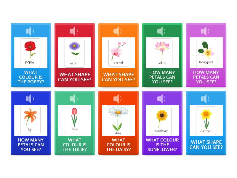 CHOOSE A FLASHCARD AND ANSWER - Flip tiles